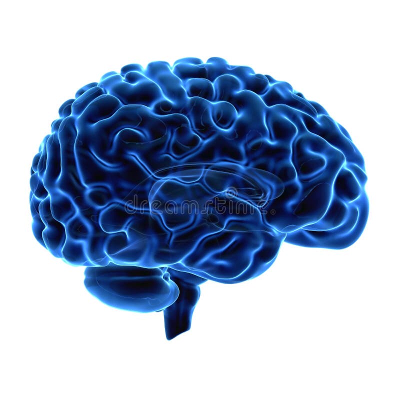 Isolated Human Brain Hologram on White Background Stock Illustration ...