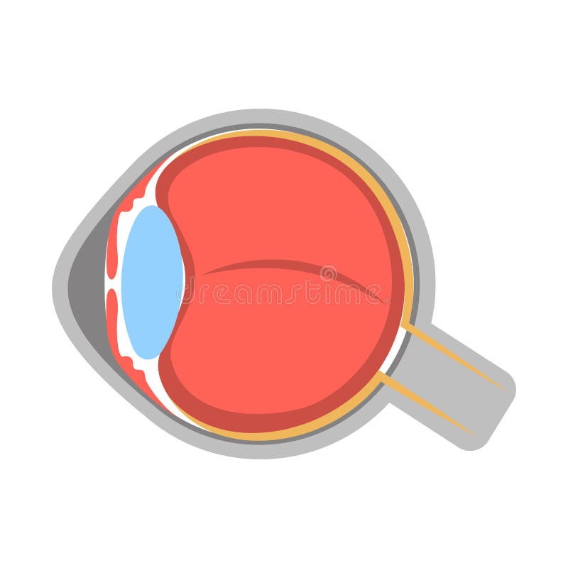 Isolated human cut eye stock vector. Illustration of closeup - 139976373