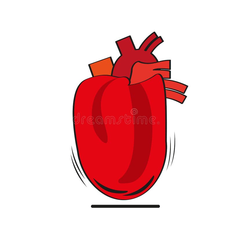 Isolated human heart icon stock vector. Illustration of science - 180335754