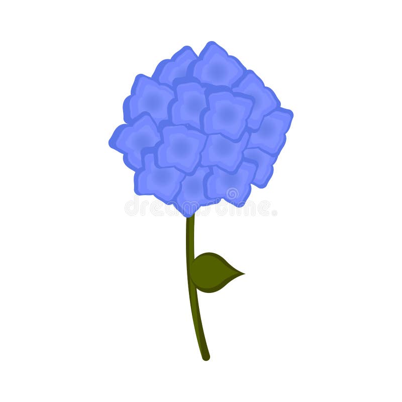 Hydrangea Flower Vector Icon Stock Vector - Illustration of petal ...