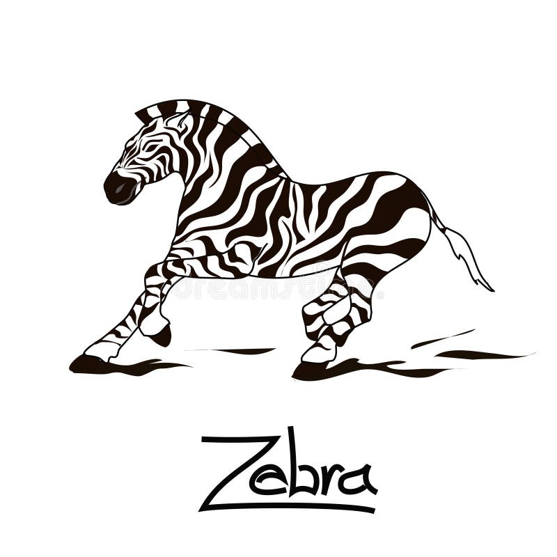 Zebra stock vector. Illustration of black, retro, print - 46277056