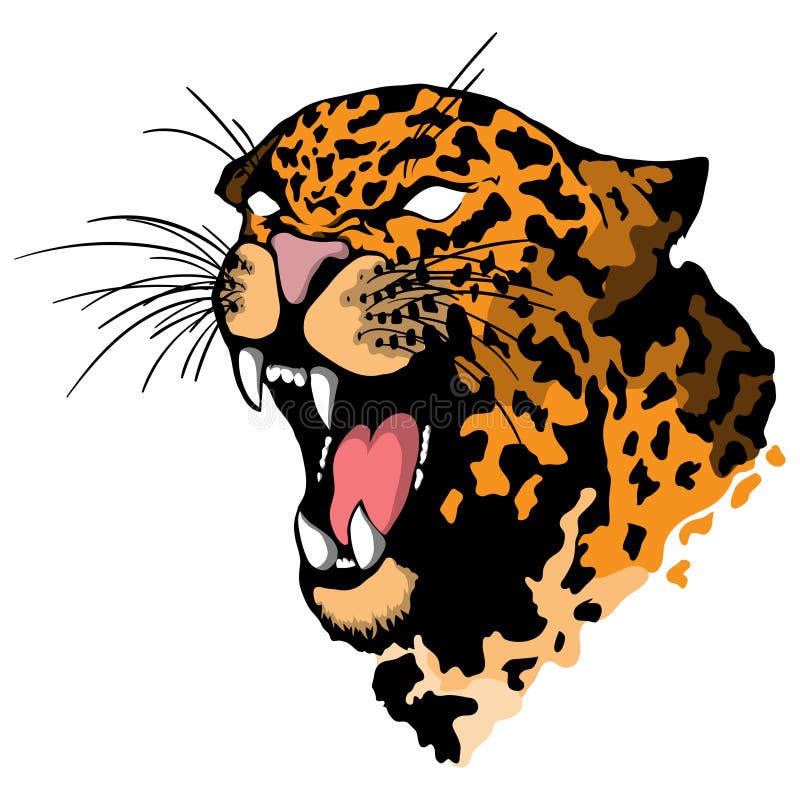 Isolated Illustration of a Leopard Head Stock Vector - Illustration of ...