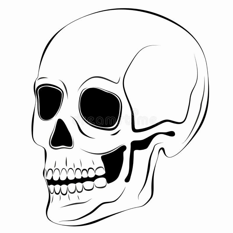 Skull Line Black White Stock Illustrations – 8,166 Skull Line Black ...