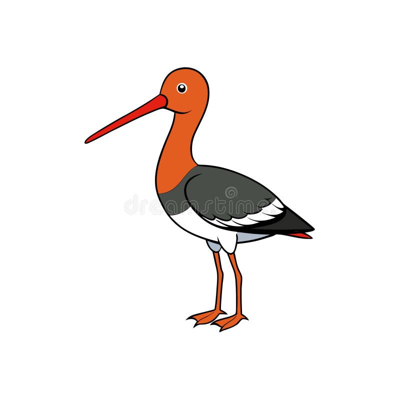 Isolated Illustration of a Stylized Black Tailed Godwit Bird Stock ...