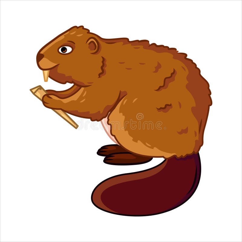 Isolated Image of a Beaver. Cute Forest Animals in Cartoon Style Stock ...