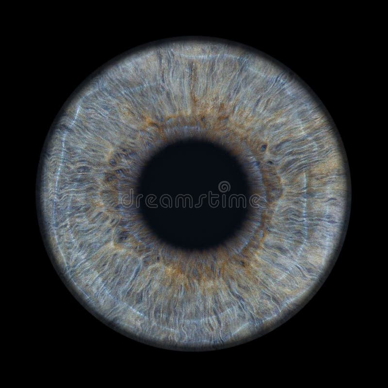Isolated Image of a Blue Human Iris in a Circular Shape Set Against a ...