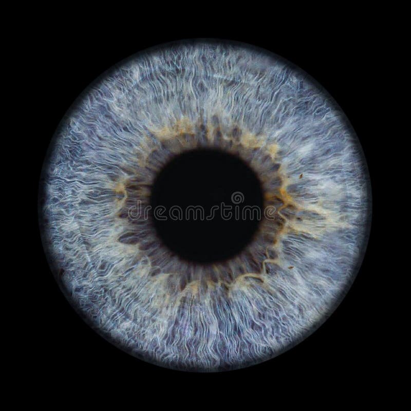 Isolated Image of a Blue Human Iris in a Circular Shape Set Against a ...