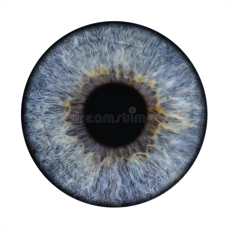 Isolated Image of a Blue Human Iris in a Circular Shape Set Against a ...