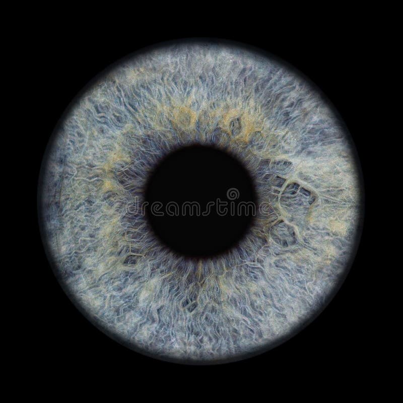 Isolated Image of a Blue Human Iris in a Circular Shape Set Against a ...