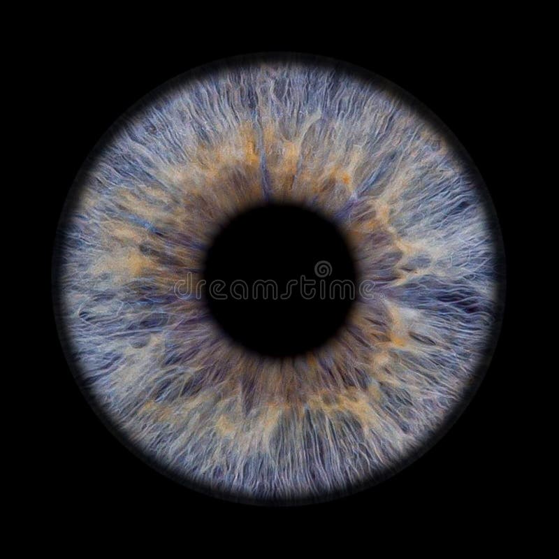 Isolated Image of a Blue Human Iris in a Circular Shape Set Against a ...