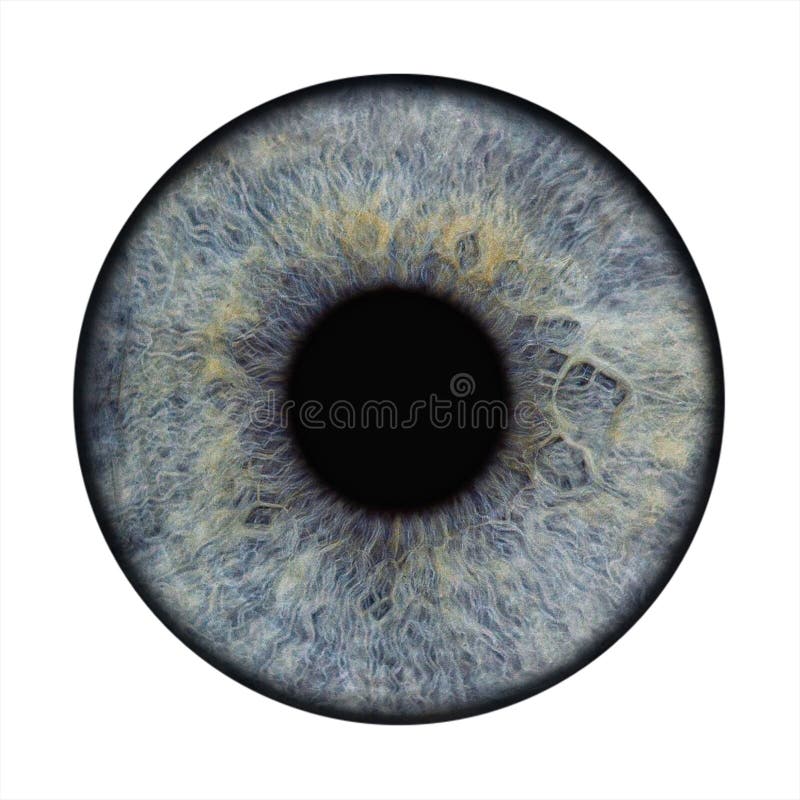 Isolated Image of a Blue Human Iris in a Circular Shape Set Against a White Backdrop Stock Image ...
