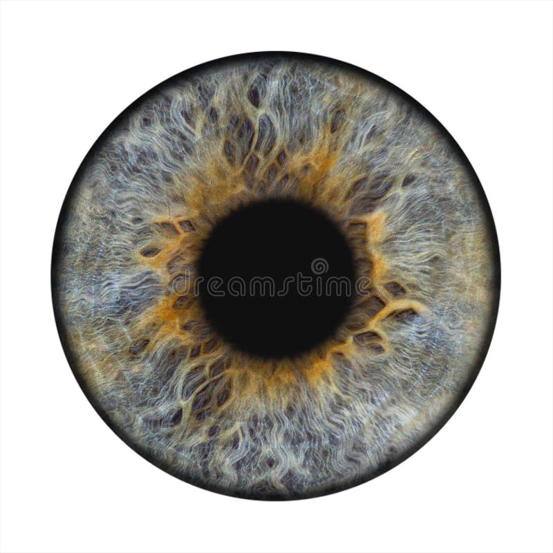 Isolated Image of a Blue Human Iris in a Circular Shape Set Against a ...