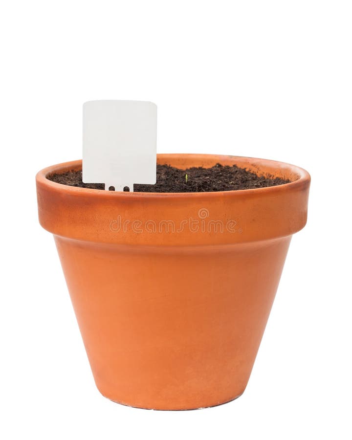 Isolated Image the Flower Pot with Tag Stock Image - Image of blank ...