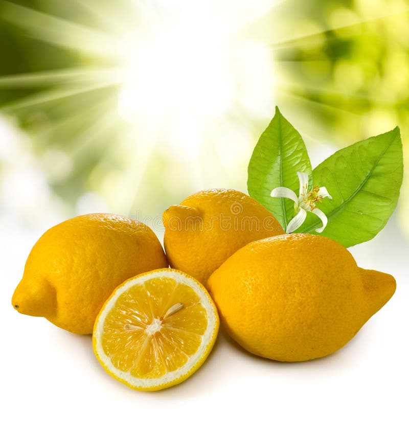 Isolated Image of Lemon Close Up Stock Image - Image of healthy ...