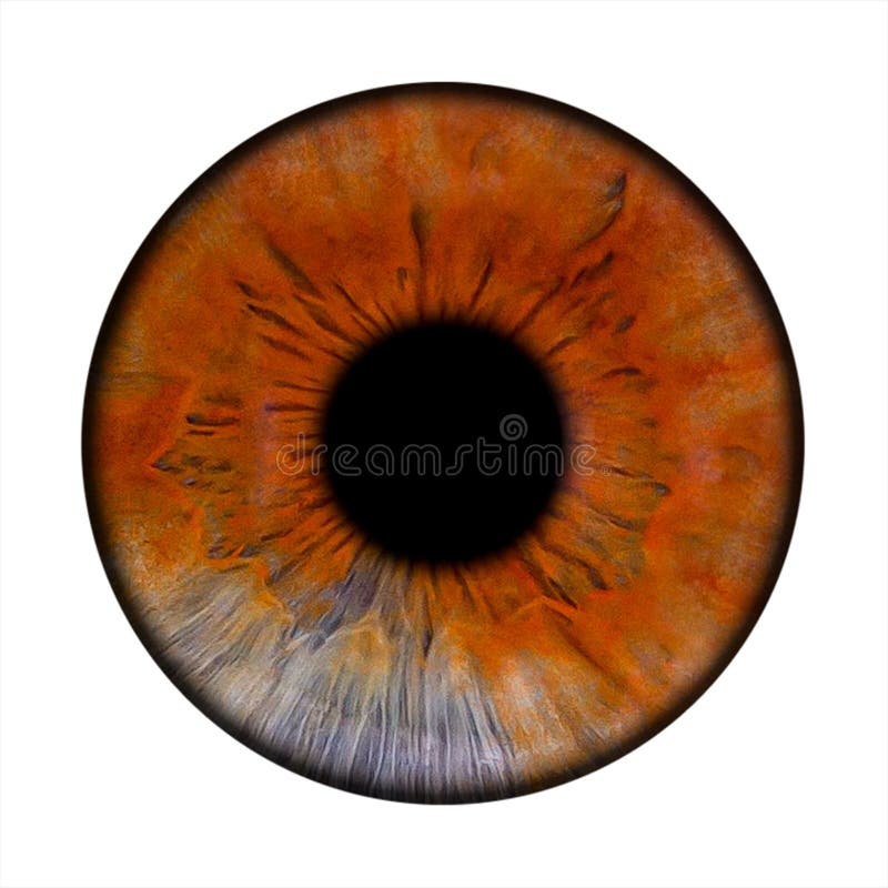 Isolated Image of an Orange Human Iris in a Circular Shape Set Against ...