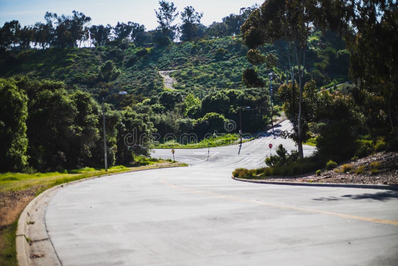 Isolated Intersection Surrounded by Trees. Stock Photo - Image of ...