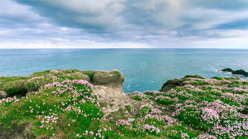 Isolated Island with Stunning Foreground Stock Photo - Image of lerwick ...
