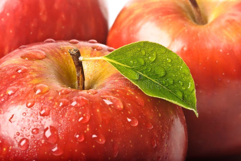 Isolated juicy red apple stock photo. Image of beautiful - 53894944
