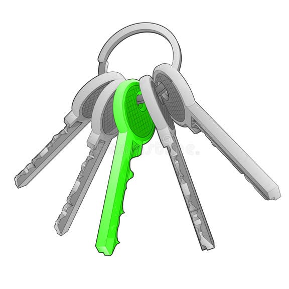 Isolated Key Ring with Green One on White Vector Stock Vector ...