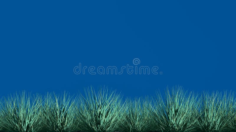Isolated Green Grass on Blue Screen Background Stock Video - Video of ...