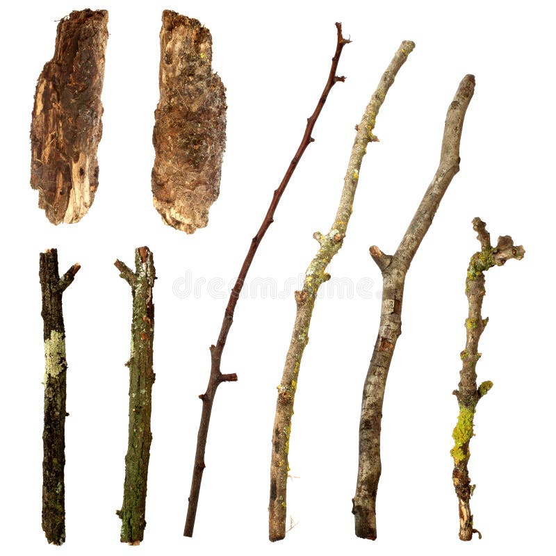 Isolated Leaves Branches Bush Set V Stock Image - Image of climbing ...