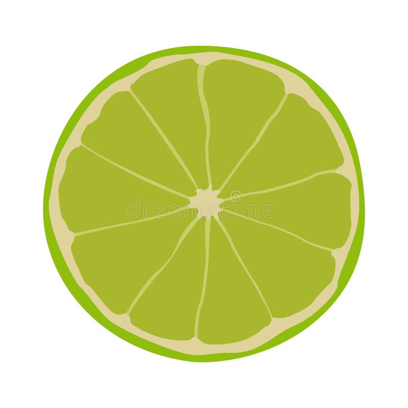 Isolated lemon cut stock vector. Illustration of juicy - 92060324