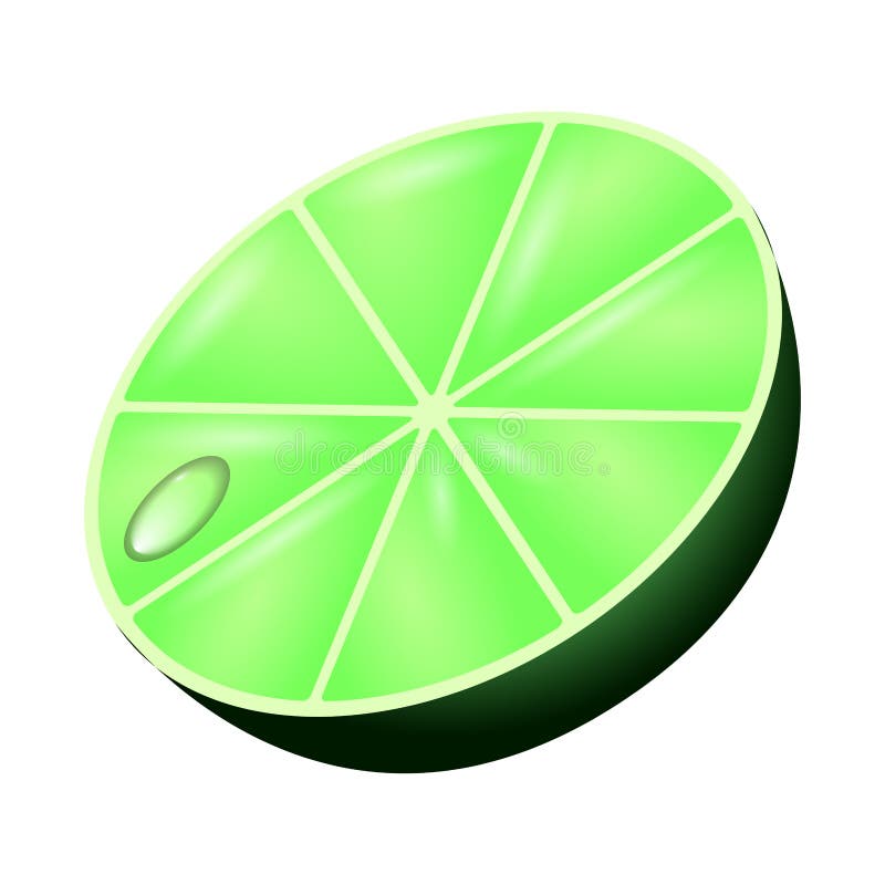 Isolated lemon cut stock vector. Illustration of closeup - 91737350