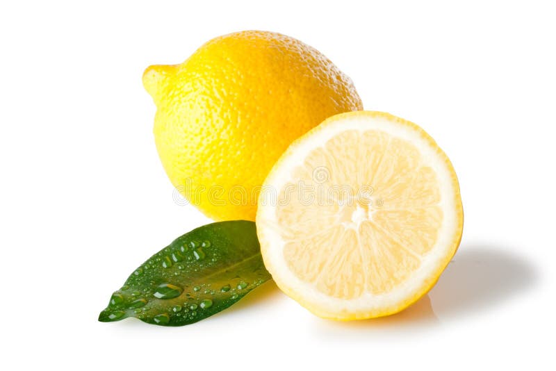 Fresh lemons stock photo. Image of fruit, citrus, flower - 26099912