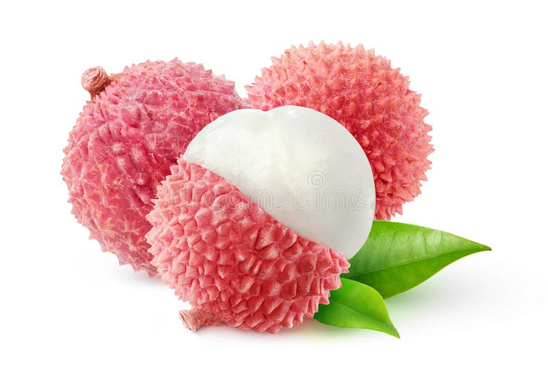 Isolated lychee with pit stock image. Image of healthy - 17782175