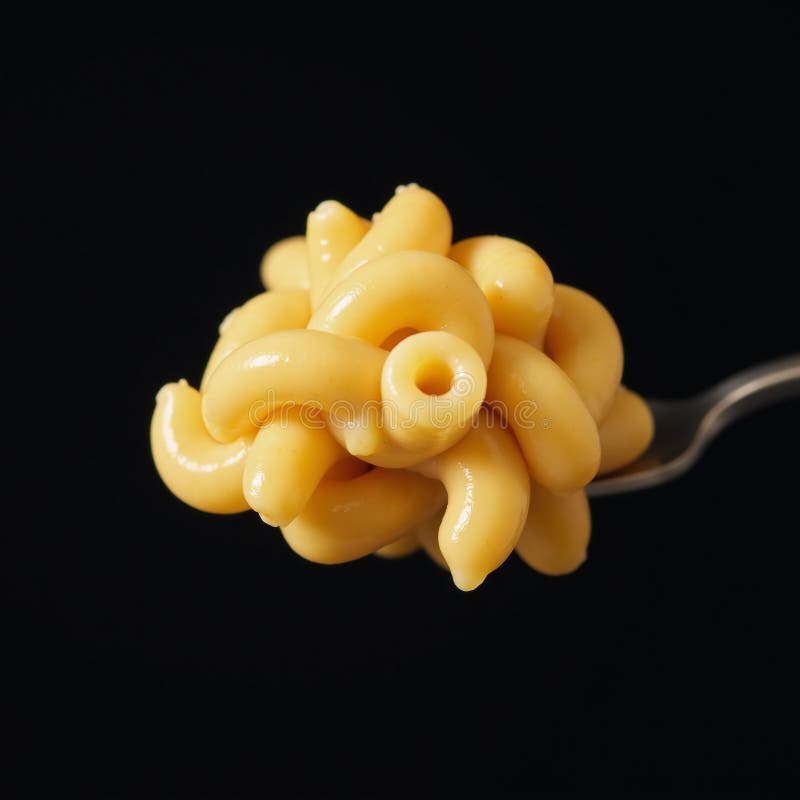 Isolated Macro Shot Cooked Macaroni for Mac Cheese on a Black Backdrop ...