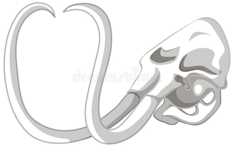 Mammoth Skull Stock Illustrations – 337 Mammoth Skull Stock ...