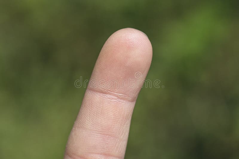 Isolated Man Finger Print Details,biometrics Thumb Mark,data Security ...