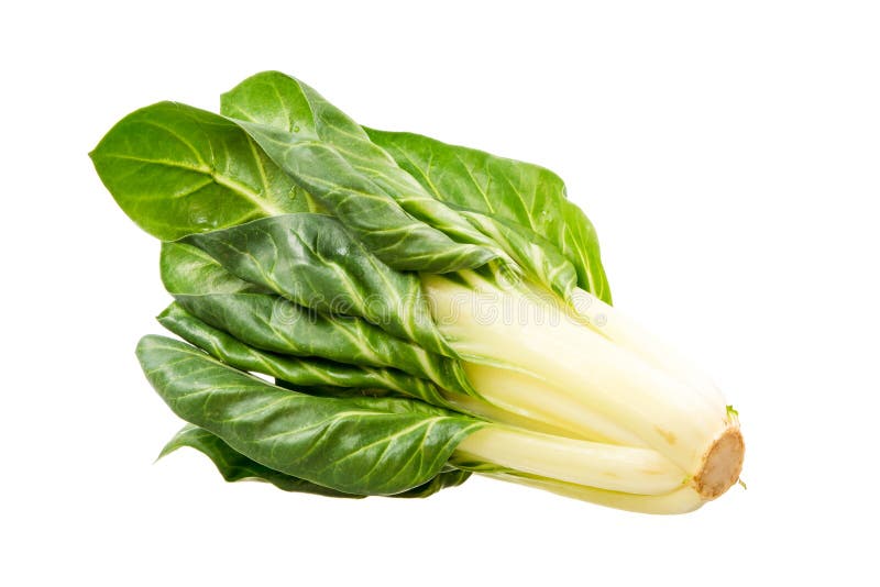 Mangold stock image. Image of seasonal, plants, green - 28881175