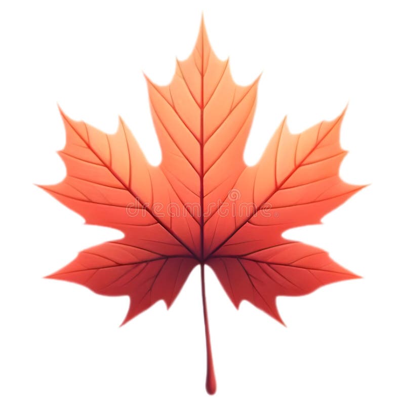 Isolated Maple Leaf on White Background Stock Photo - Image of season ...