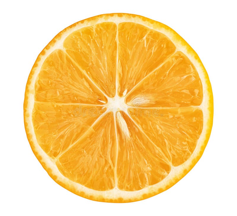 Lemon Cross Section and Leaves Isolated on White Background Stock Image ...