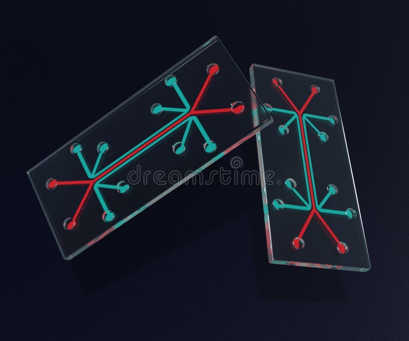 Isolated Microfluidic Chip is a Set of Micro-channels Etched or Molded ...