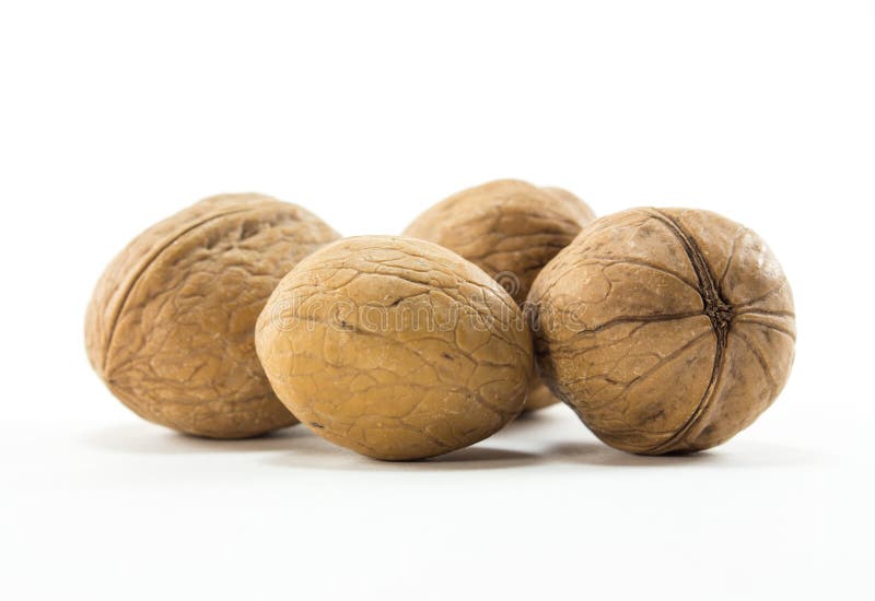 Isolated Natural Walnuts stock photo. Image of group - 71141430