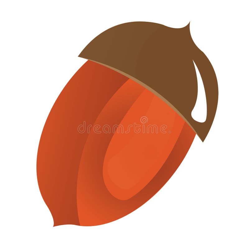 Isolated nut icon stock vector. Illustration of dried - 100302205