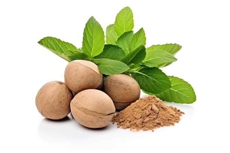 Isolated Nutmeg with Powder and Leaves on White Background. Stock ...
