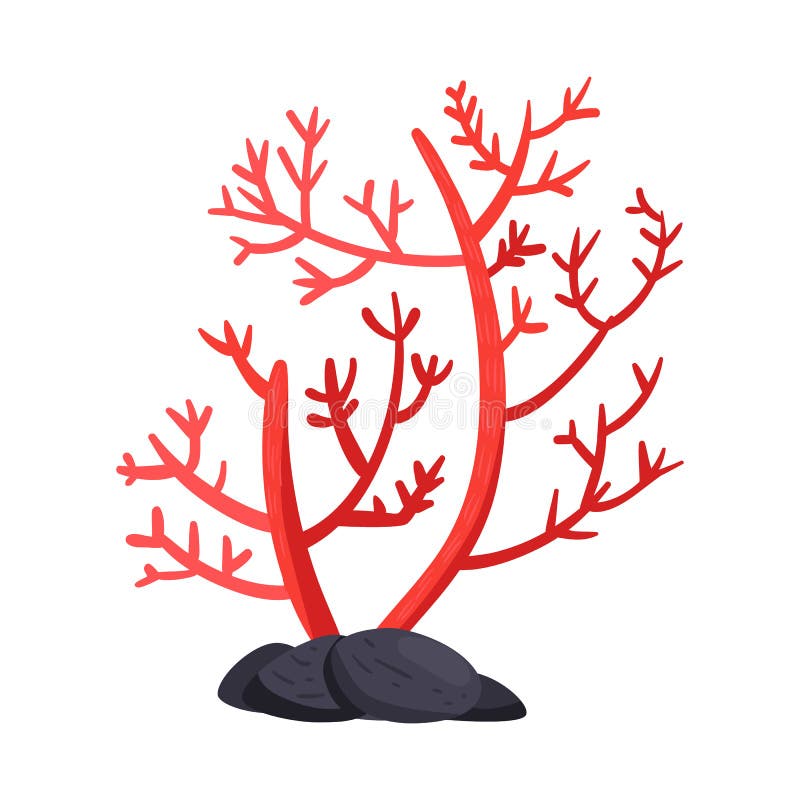 Isolated Object of Algae and Floral Logo. Set of Algae and Tropical ...