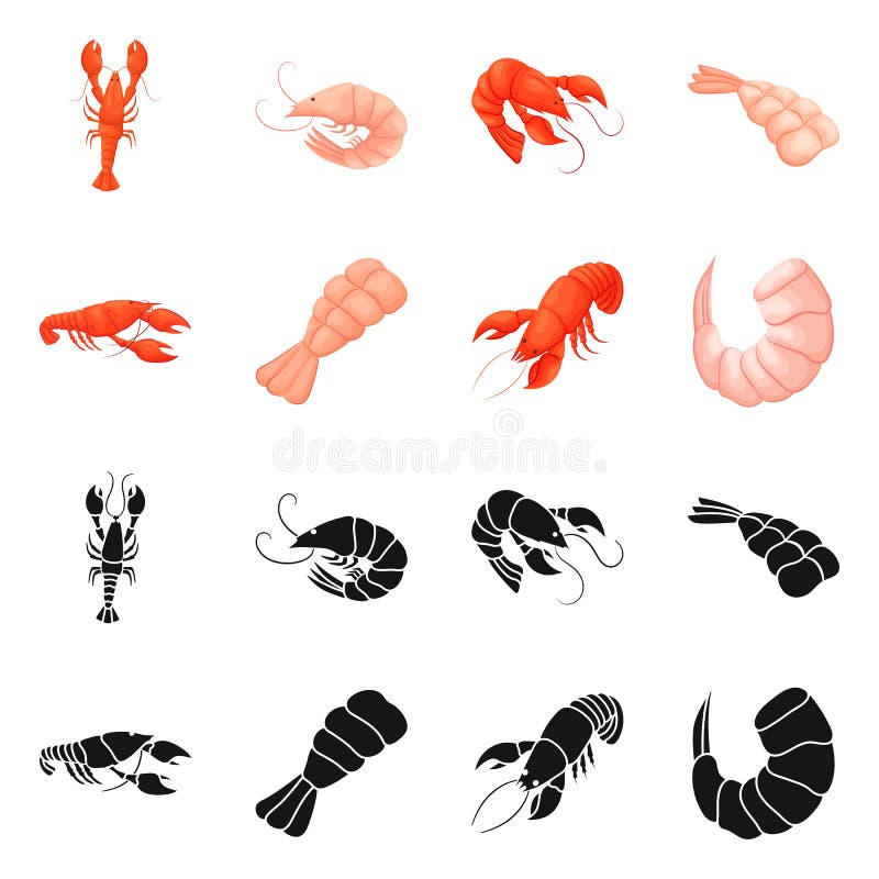 Vector Illustration of Appetizer and Ocean Sign. Set of Appetizer and ...