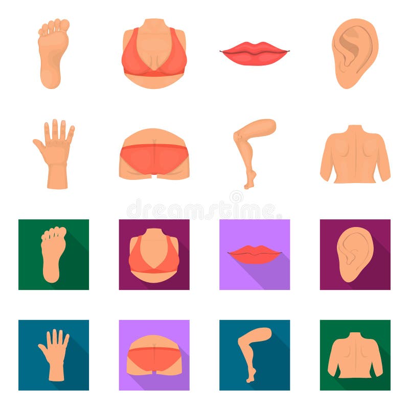 Isolated Object of Body and Part Icon. Set of Body and Anatomy Vector ...