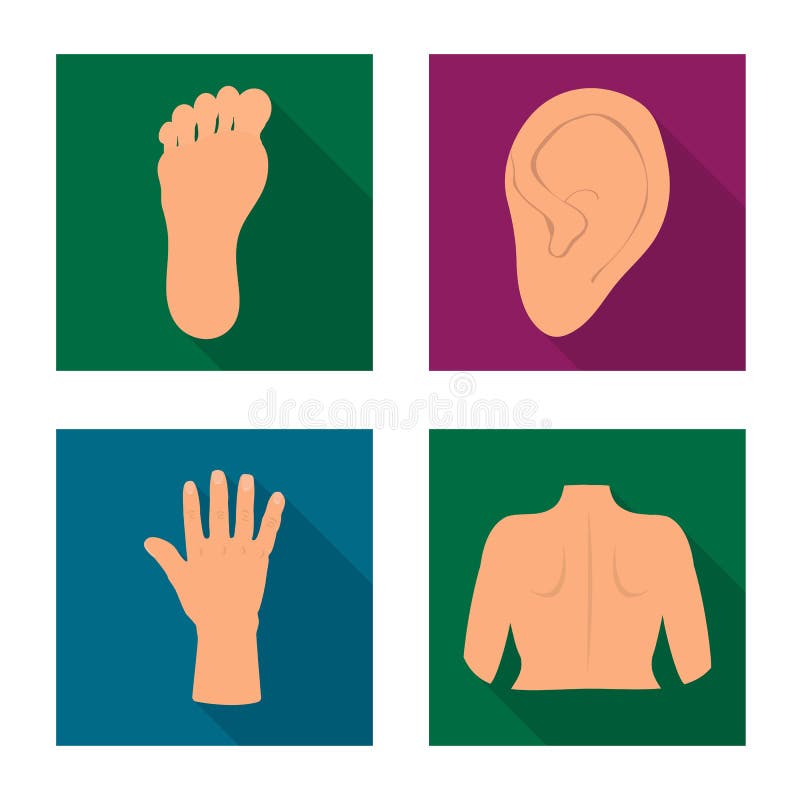 Isolated Object of Body and Part Logo. Collection of Body and Anatomy ... Isolated Object of Body and Part Logo. Collection of Body and Anatomy ...