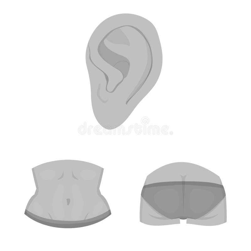 Isolated Object of Body and Part Logo. Set of Body and Anatomy Vector ... Isolated Object of Body and Part Logo. Set of Body and Anatomy Vector ...
