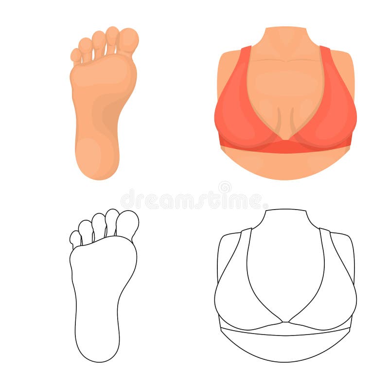 Vector Illustration Of Body And Part Sign. Collection Of Body And ... Vector Illustration Of Body And Part Sign. Collection Of Body And ...