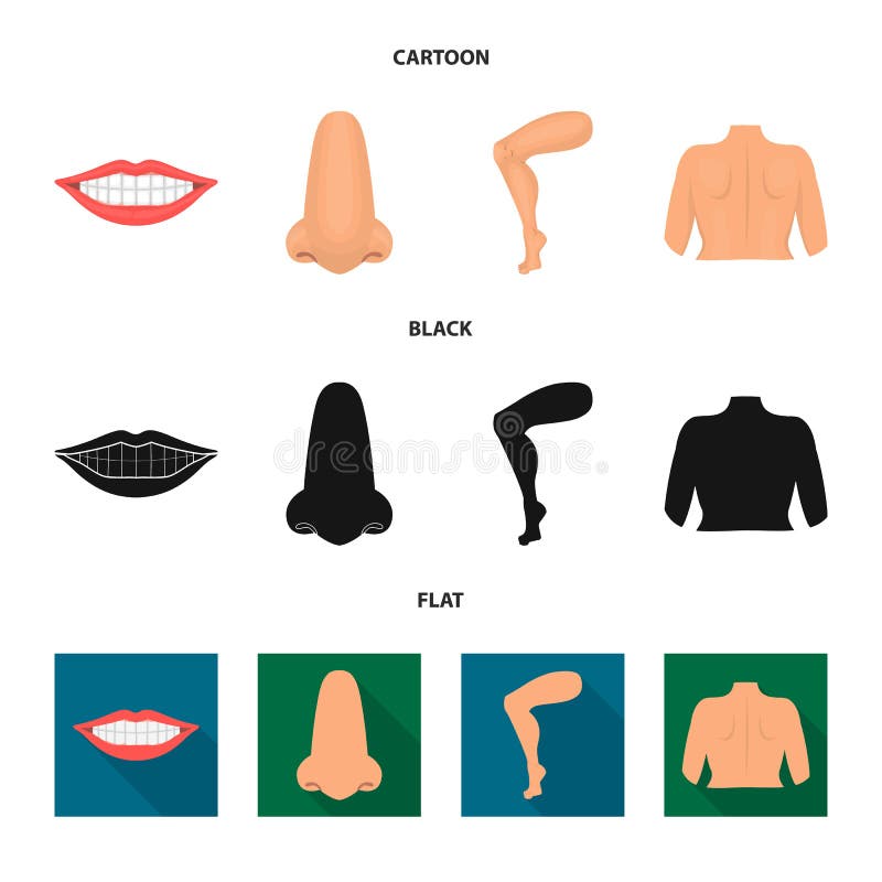 Isolated Object of Body and Part Sign. Set of Body and Anatomy Stock ... Isolated Object of Body and Part Sign. Set of Body and Anatomy Stock ...