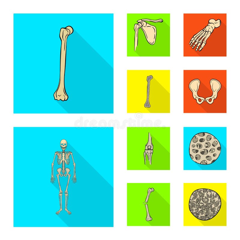 Isolated Object of Bone and Skeleton Logo. Set of Bone and Human Stock ...
