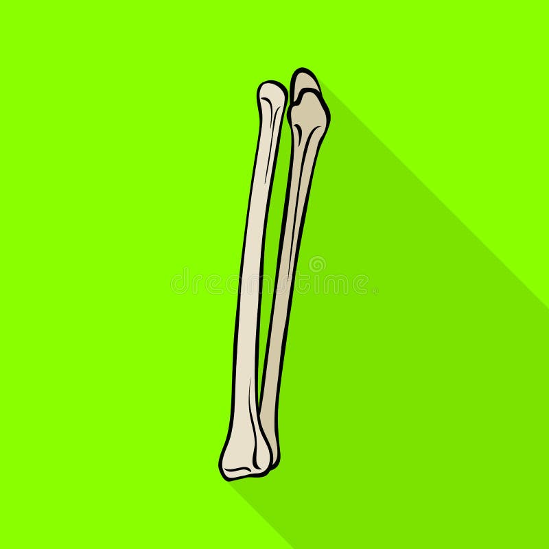 Isolated Object of Bone and Skeleton Sign. Collection of Bone and Human ...