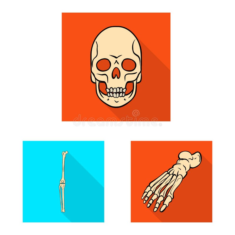 Vector Illustration of Bone and Skeleton Symbol. Collection of Bone and ...
