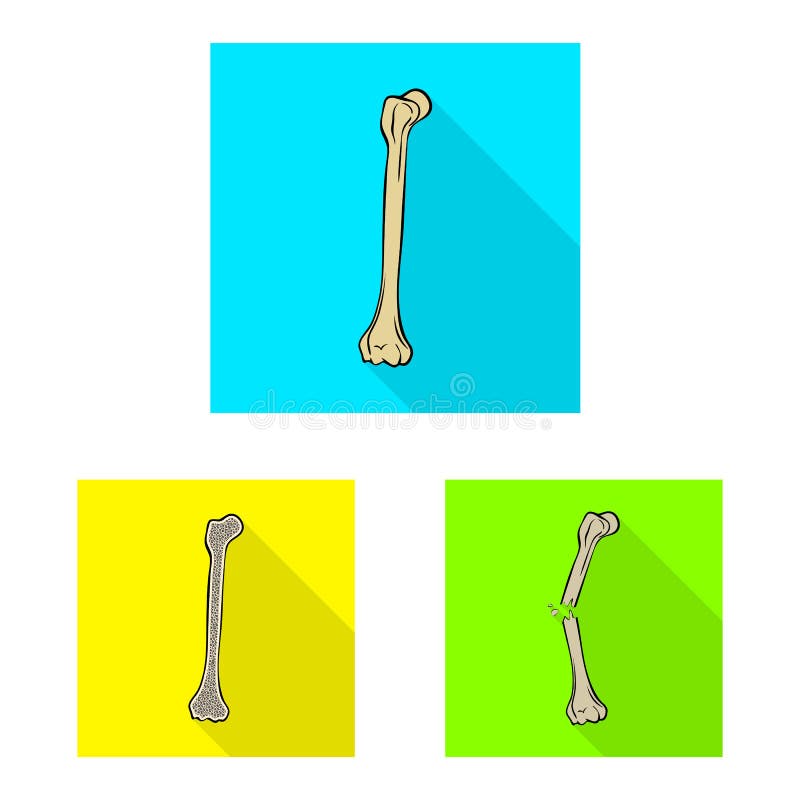 Isolated Object of Bone and Skeleton Symbol. Collection of Bone and ...